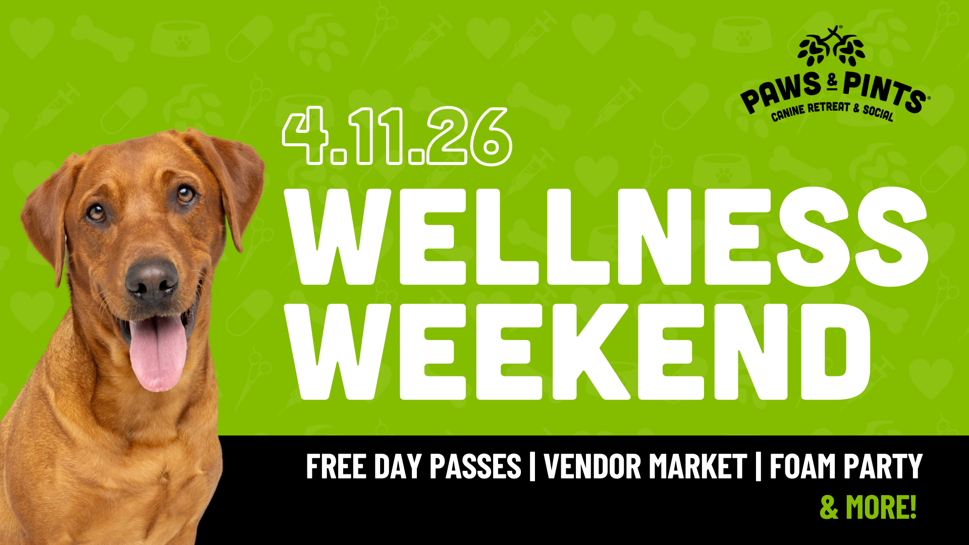 Wellness Weekend at Paws & Pints - Paws & Pints